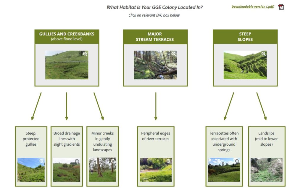 Home | South Gippsland Landcare Network