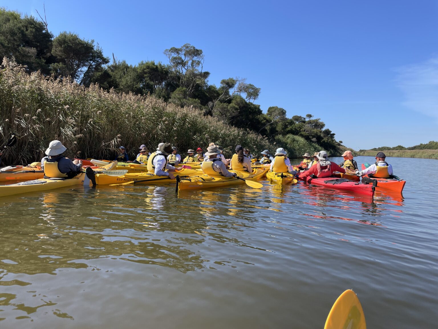 All on-board for Tarwin Project | South Gippsland Landcare Network